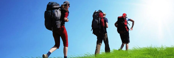 Explore Natural Health and Fitness | Dr. Lori Shemek