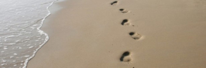 Take Baby Steps To Make Big Changes | Dr. Lori Shemek