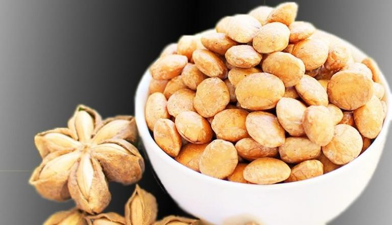 Top Health Benefits of the Sacha Inchi Seeds | Dr. Lori Shemek